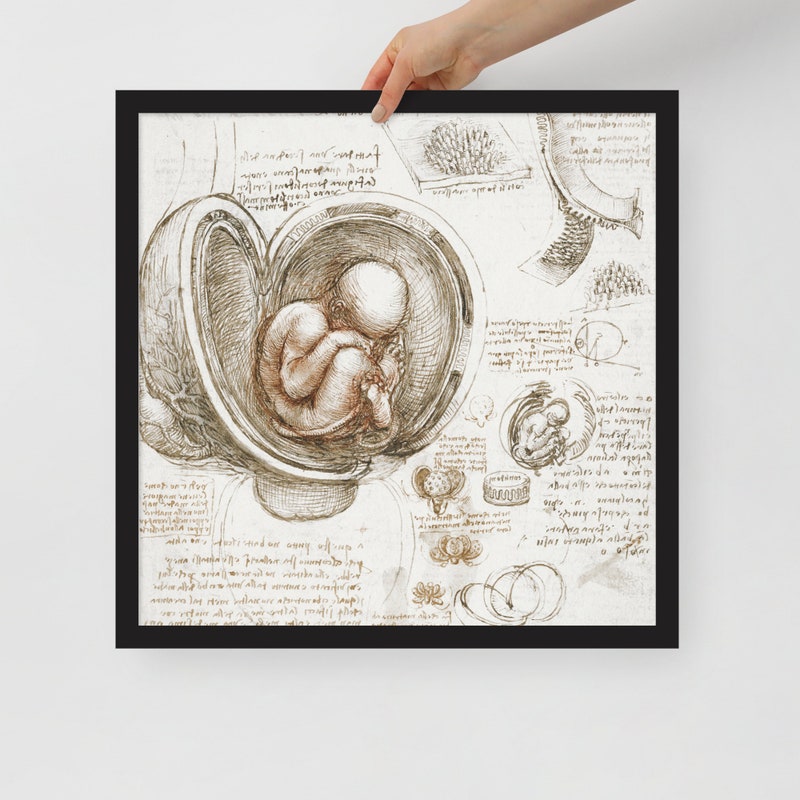 Fetus Art - Etsy