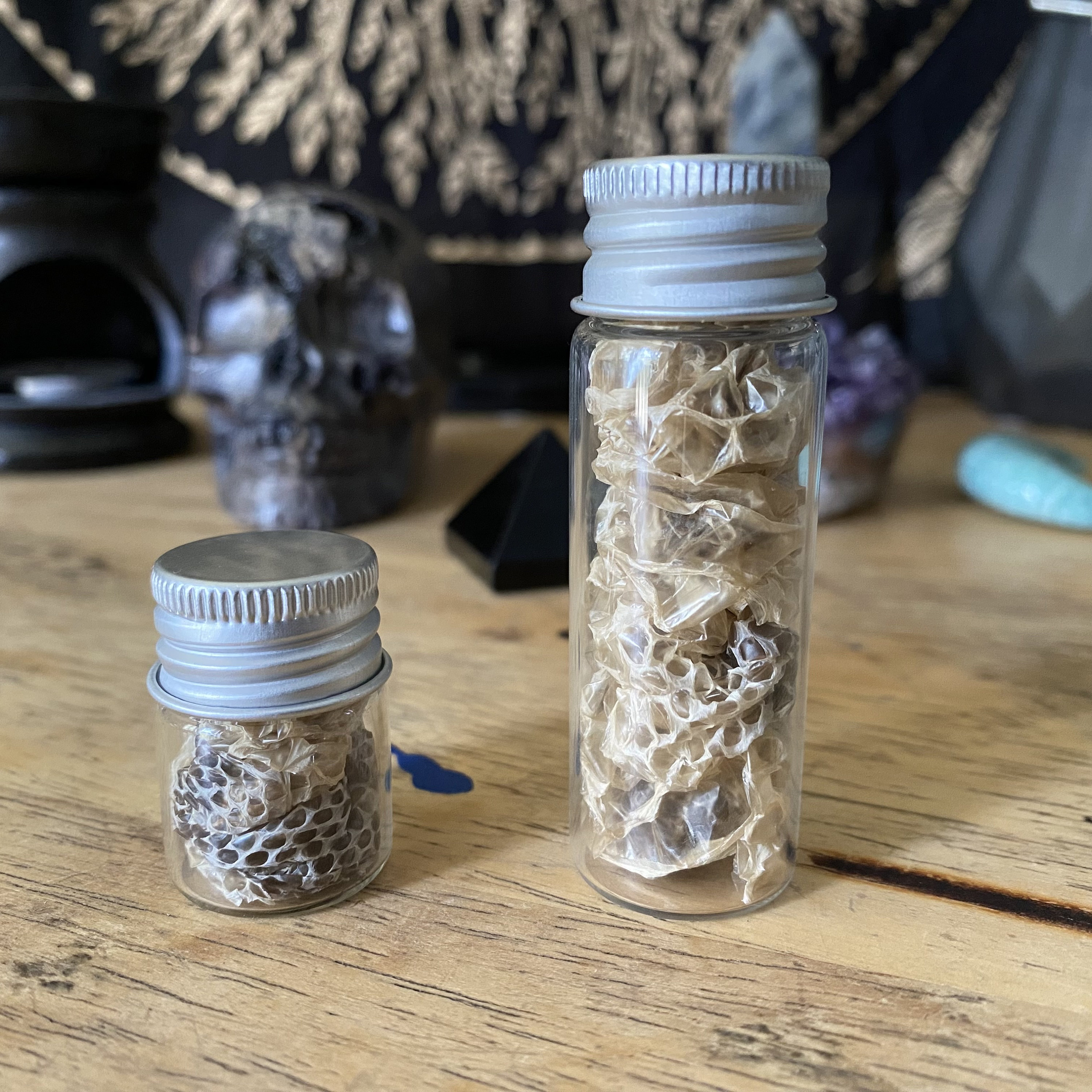 Snake Skin Shed - Etsy