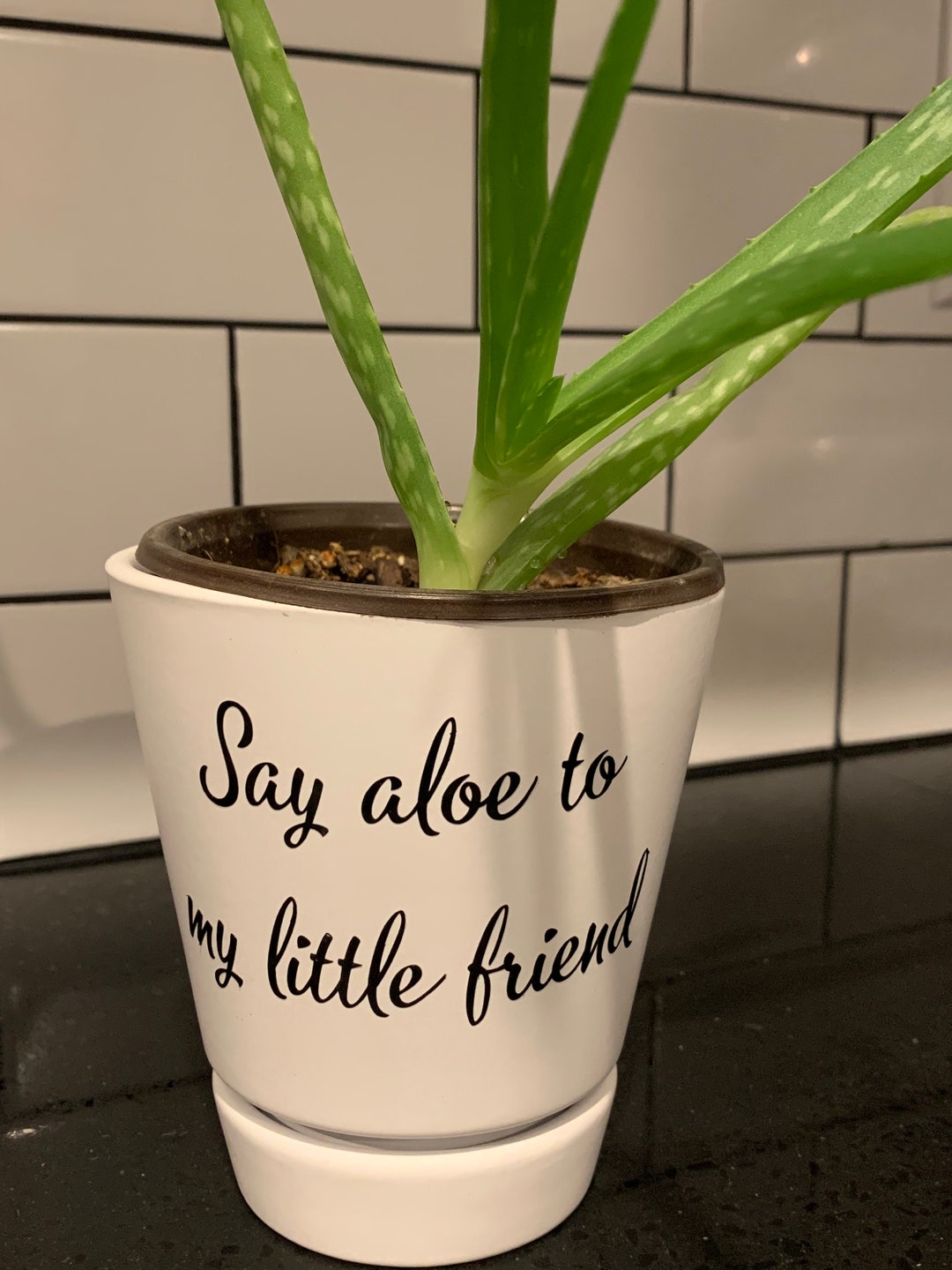 Say Aloe to My Little Friend Planter - Funny Plant Pun Gift - Etsy