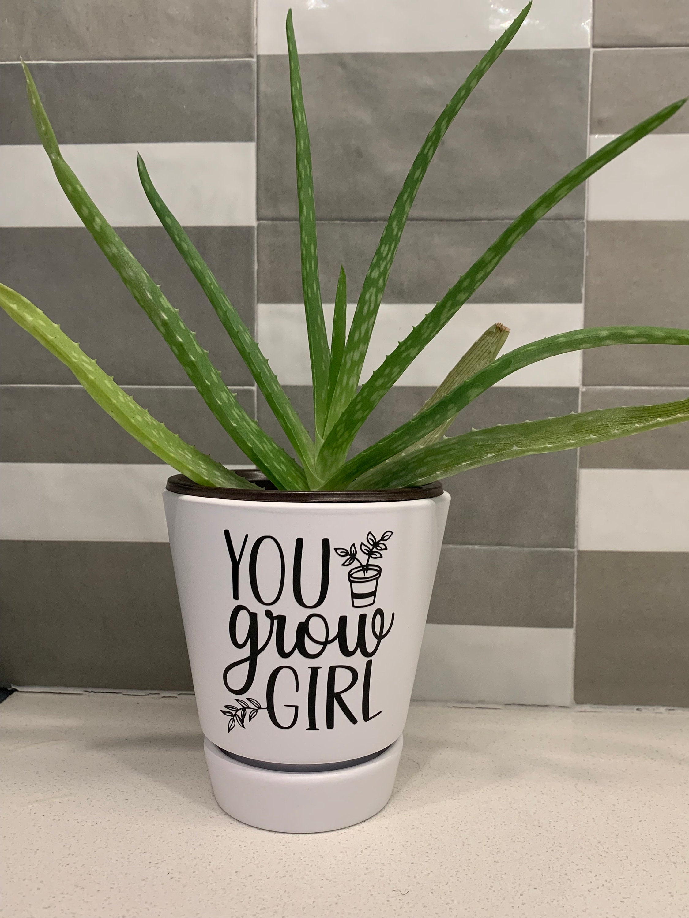 Aloe, is It Me? Planter - Plant Pun, Cute Funny Gift, Succulent, Aloe ...
