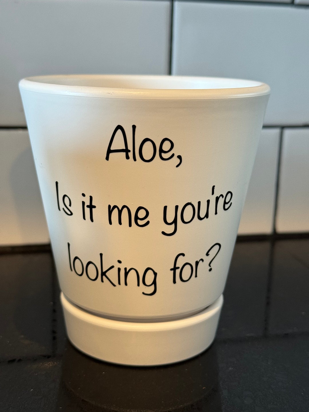 Aloe, is It Me? Planter - Plant Pun, Cute Funny Gift, Succulent, Aloe ...