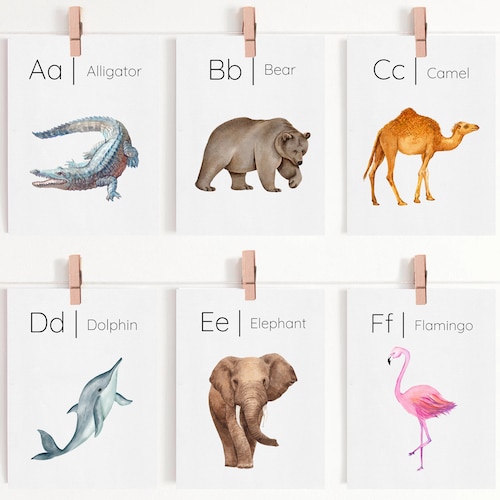 ABC Flashcards Watercolor Animal ABC Cards Printable - Etsy