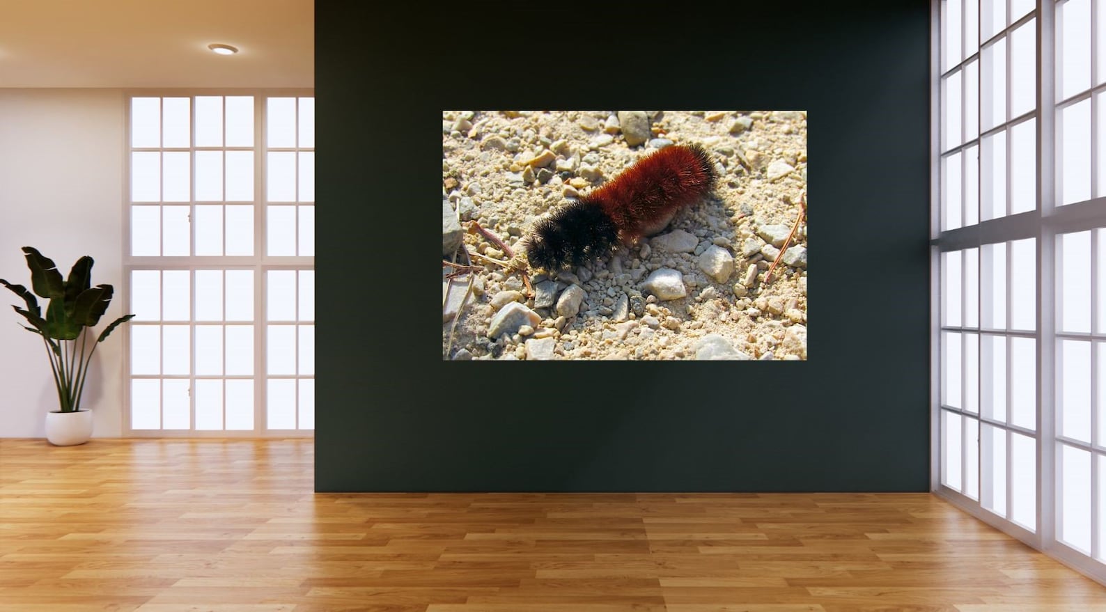 Caterpillar Printable Wall Art - Etsy