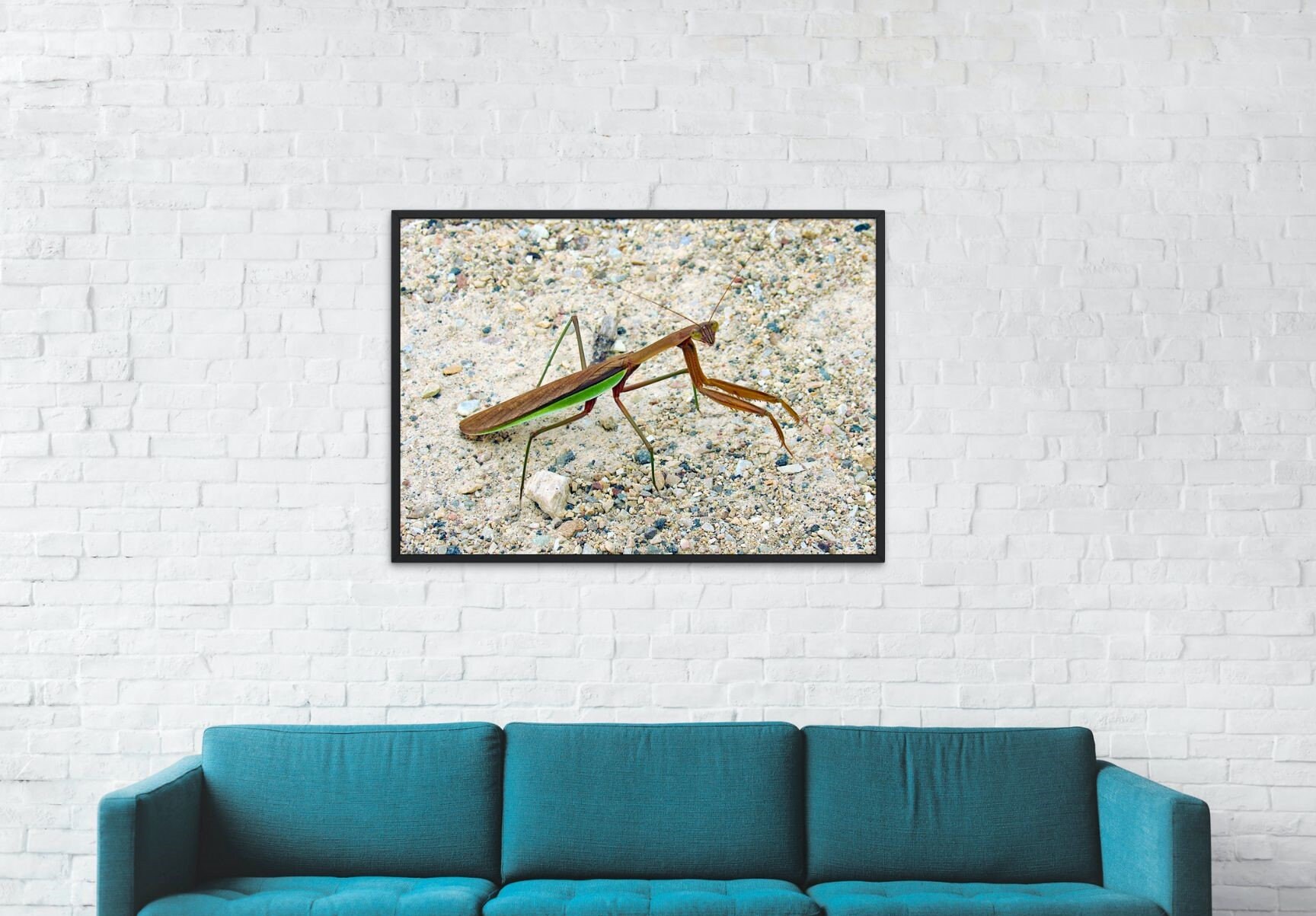 Praying Mantis Printable Wall Art - Etsy