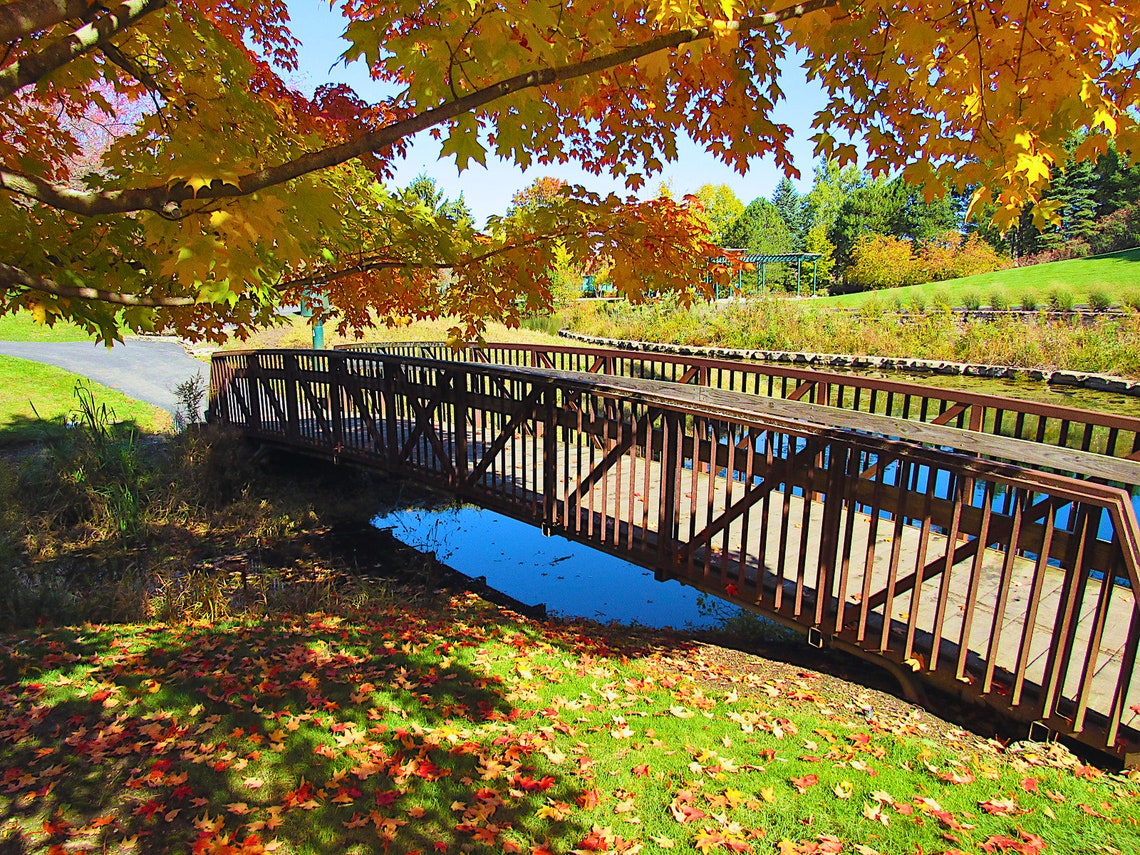 Bridge Printable Wall Art - Etsy