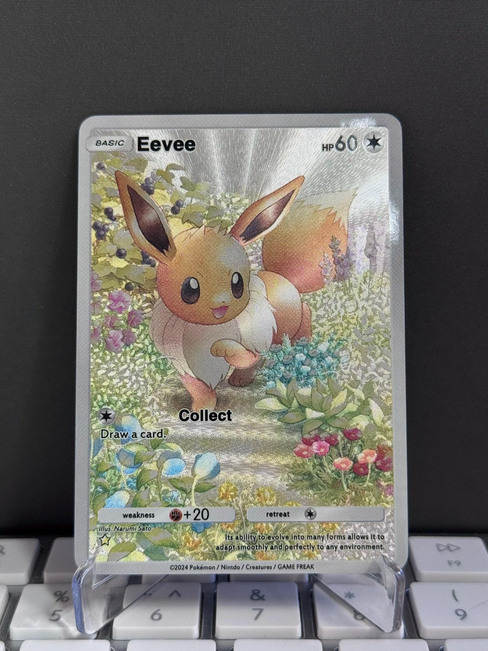 Custom TCG Pocket #18 [ENG] Eeveelution Set- Textured Shinning - Etsy