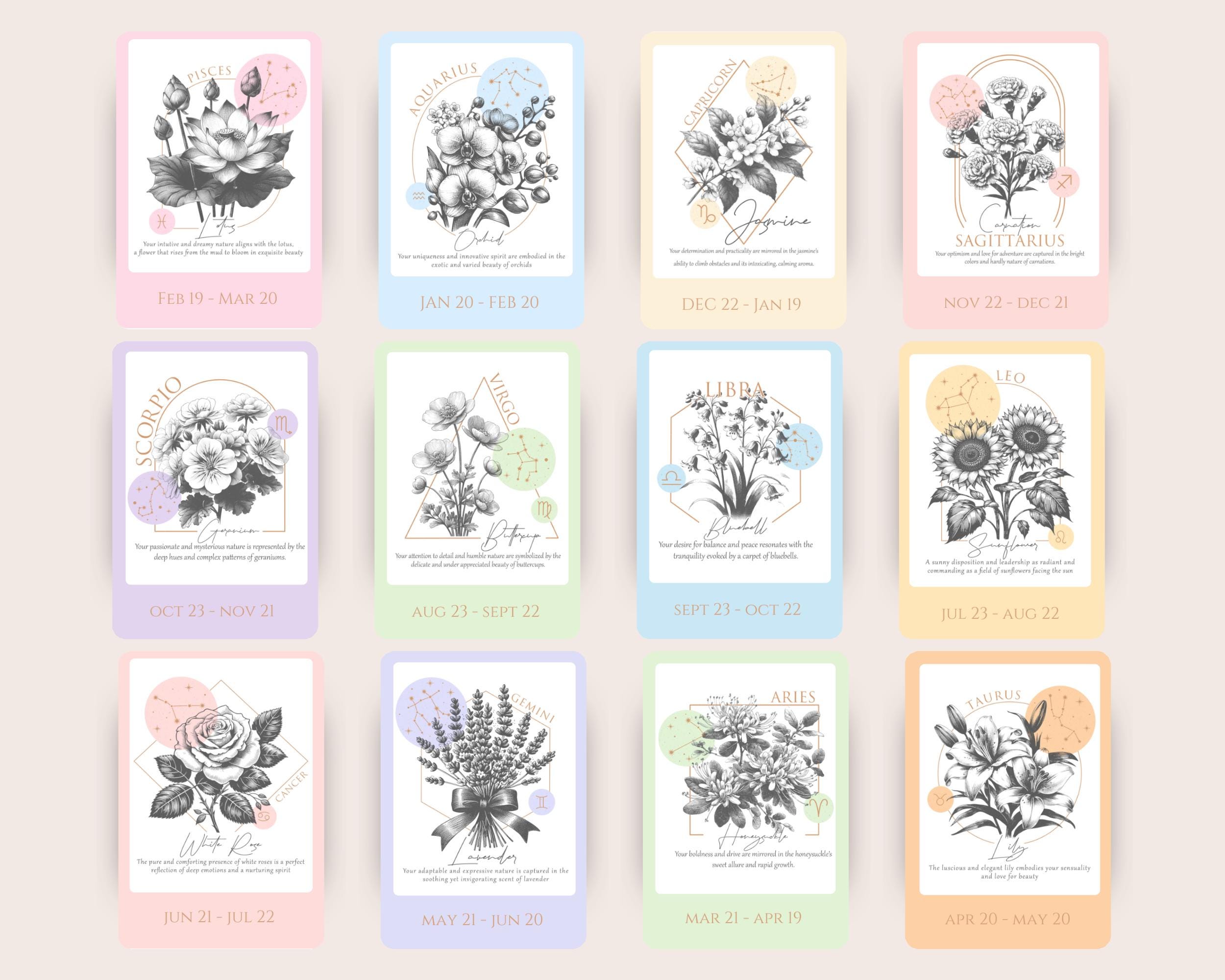 Zodiac Flashcards, 12 Printable Astrology Flashcards, Zodiac Cards ...