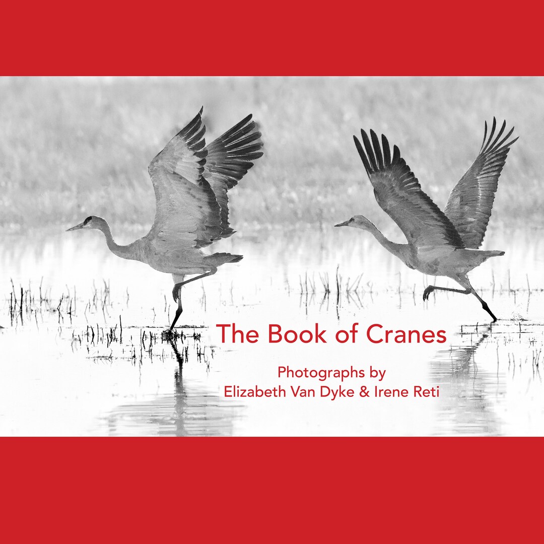 The Book of Cranes: Photographs by Elizabeth Van Dyke & Irene Reti - Etsy