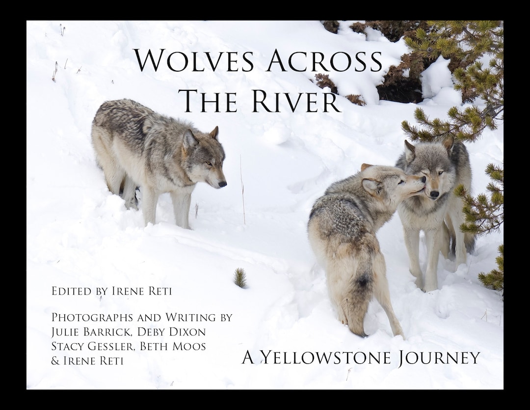 Wolves Across the River: A Yellowstone Journey - Etsy