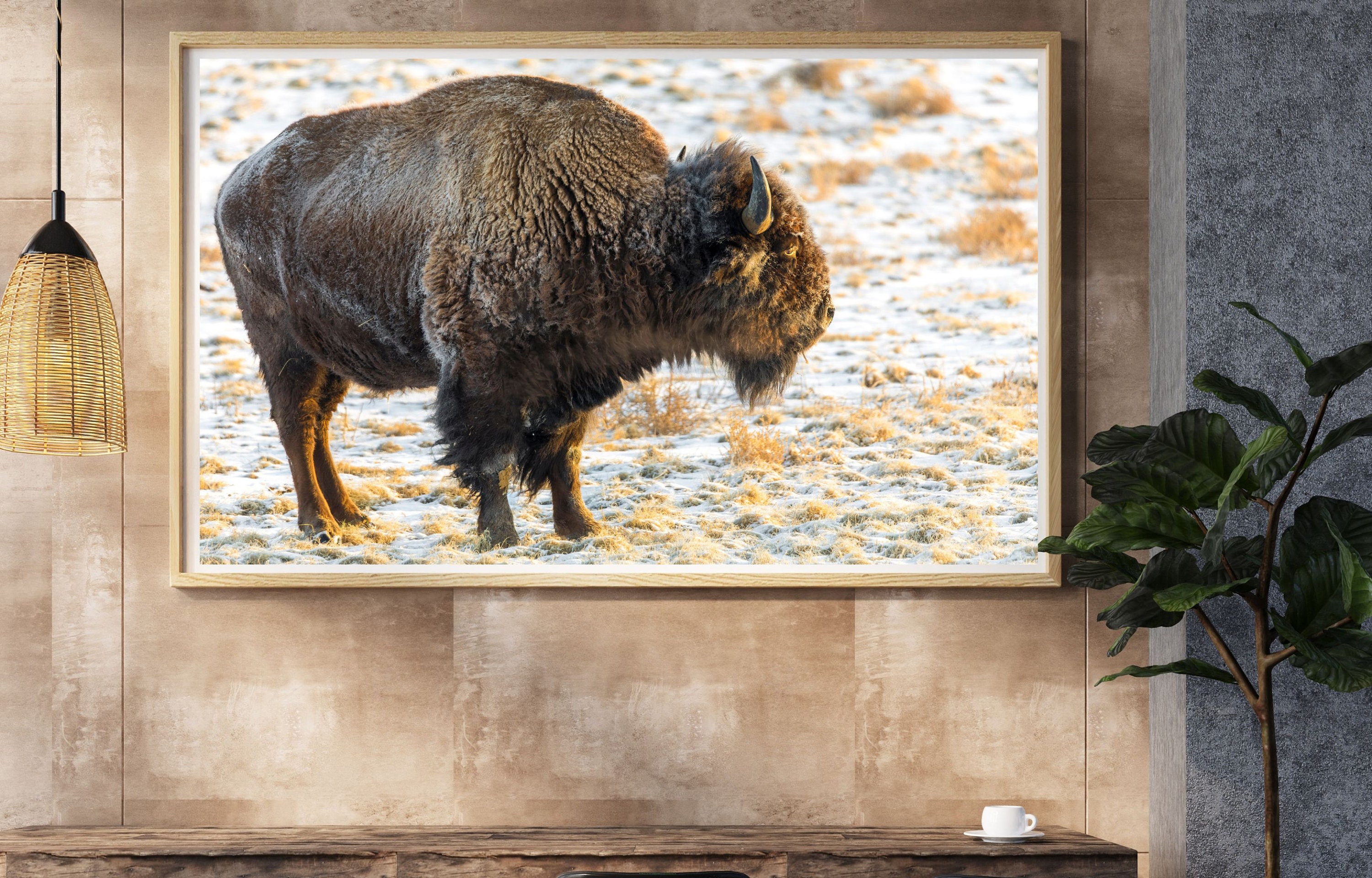 American Bison Photo Print: Wild West Wildlife Wall Decor - Etsy