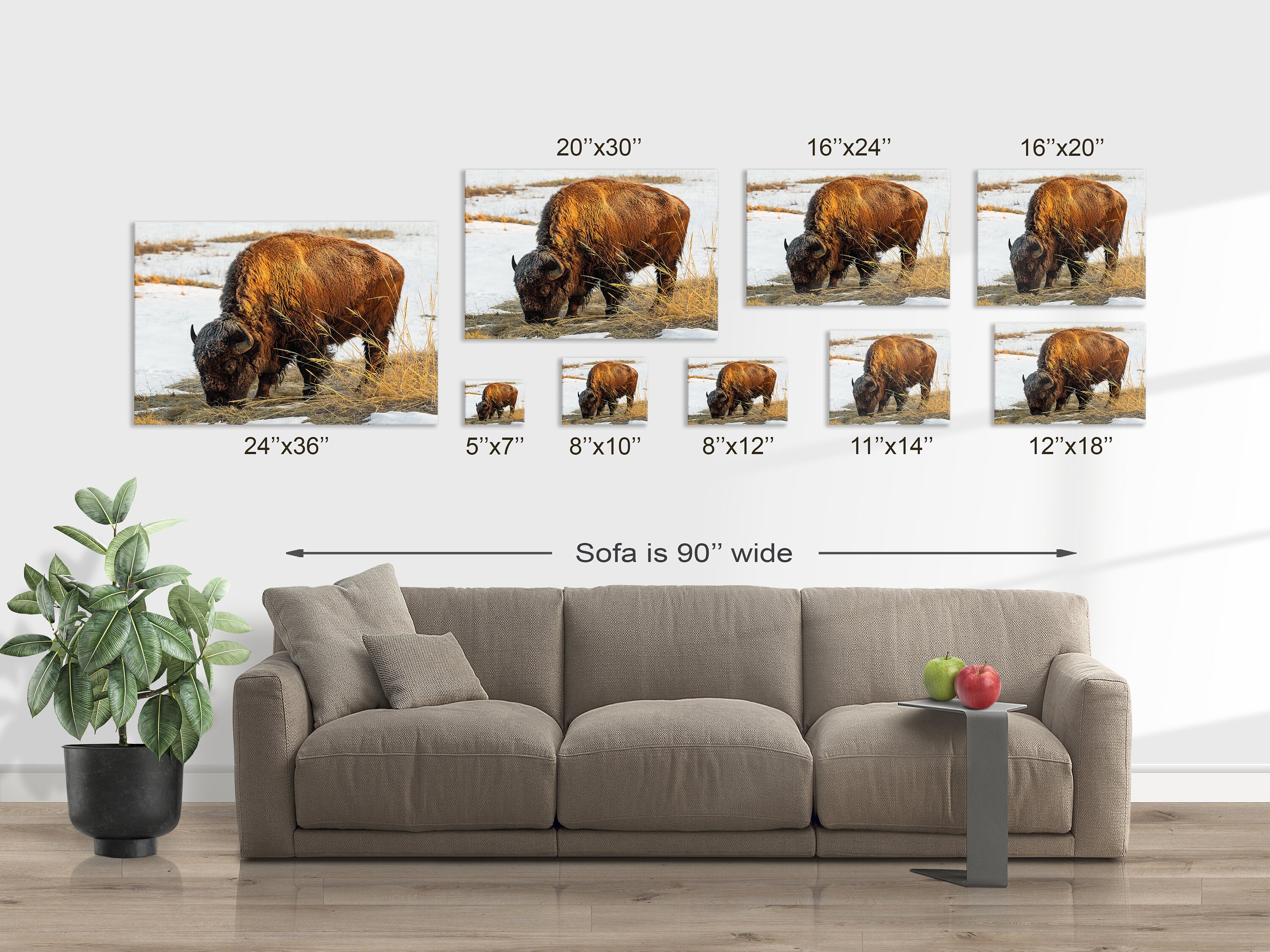 Buffalo Sunrise Photo: American Bison in Winter Landscape - Etsy