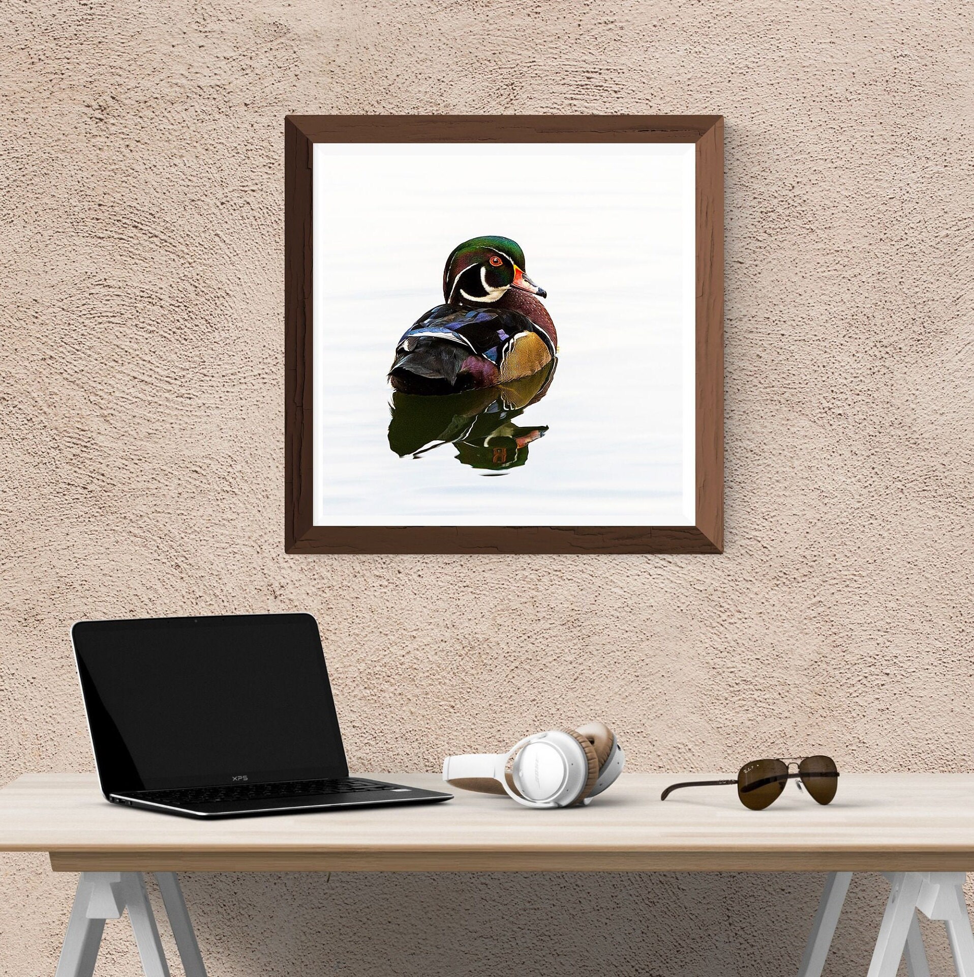 Wood Duck Portrait: Colorado Wildlife Photography - Etsy