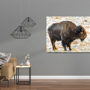 American Bison Photo Print: Wild West Wildlife Wall Decor - Etsy