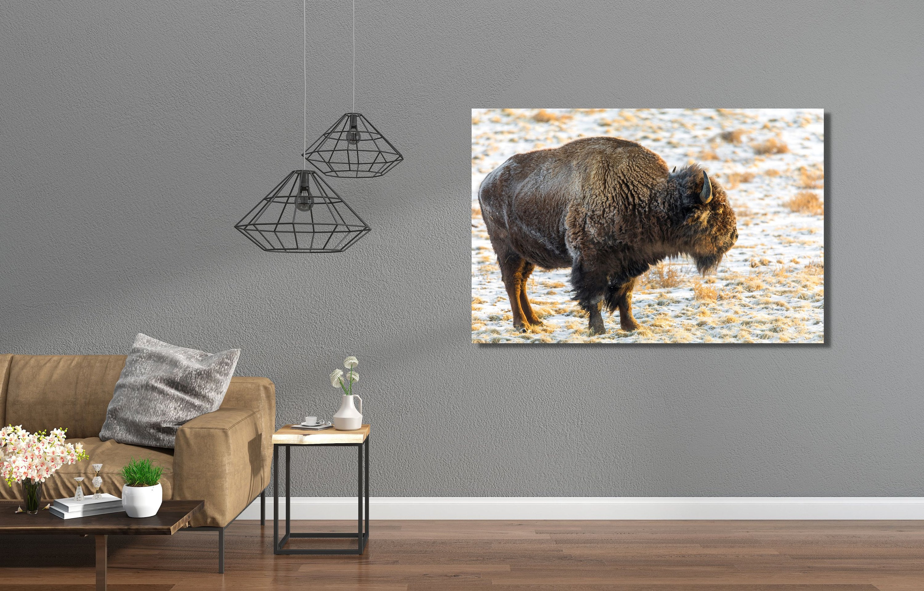 American Bison Photo Print: Wild West Wildlife Wall Decor - Etsy