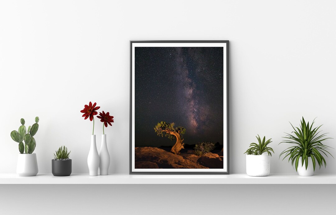Milky Way Galaxy Wall Decor, Juniper Tree at Night, Milky Way, Night ...