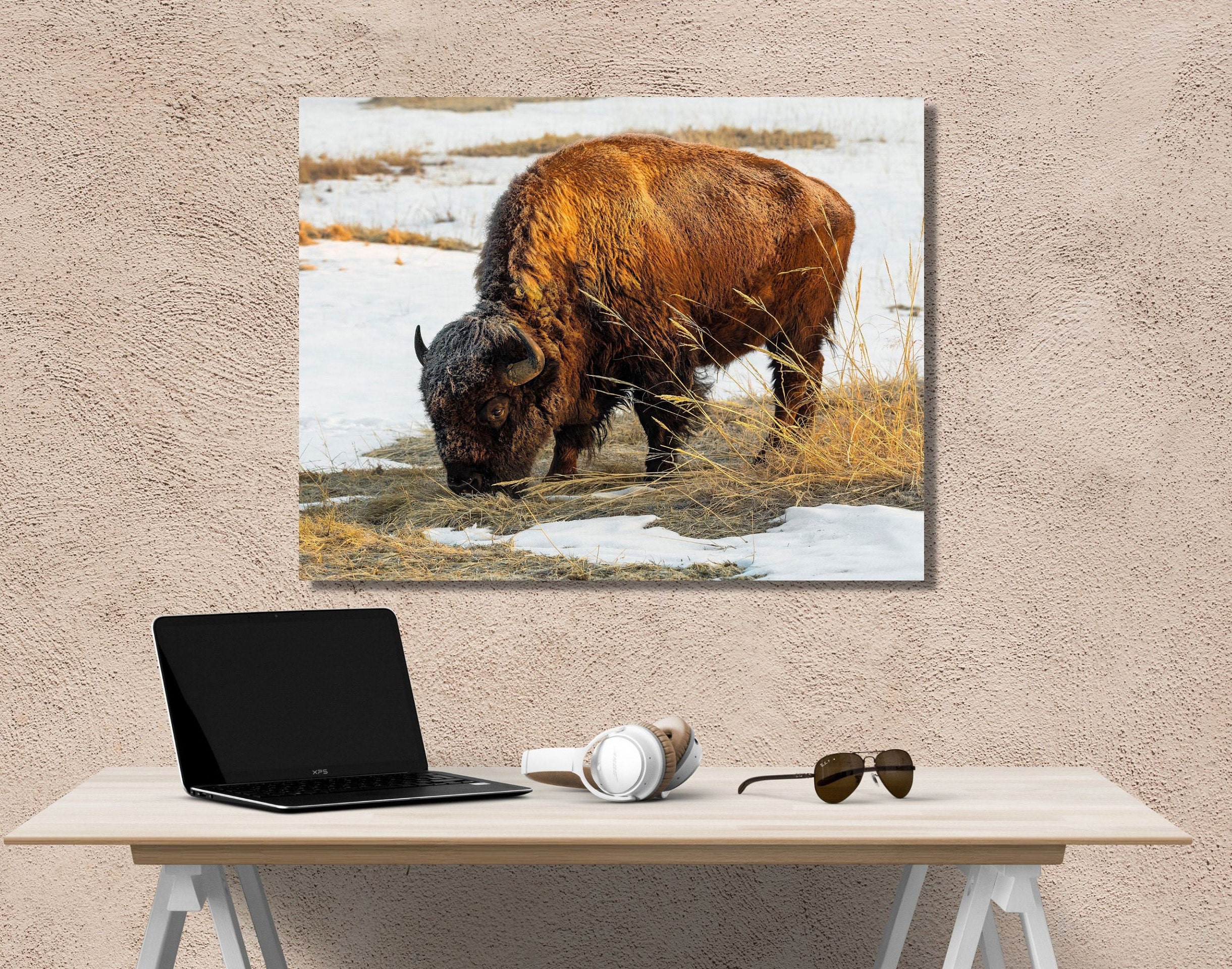 Buffalo Sunrise Photo: American Bison in Winter Landscape - Etsy