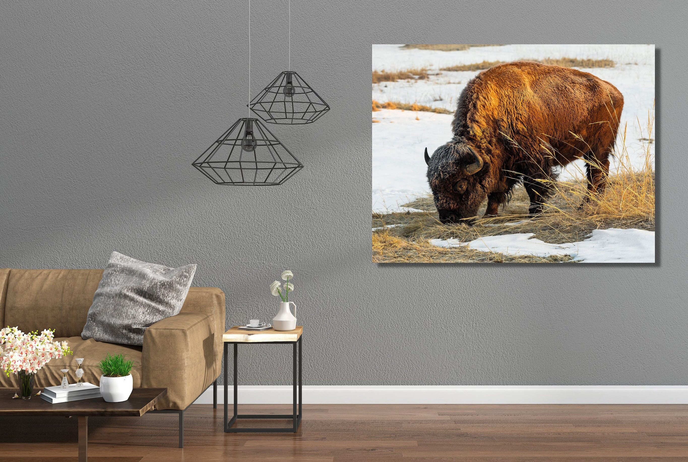 Buffalo Sunrise Photo: American Bison in Winter Landscape - Etsy