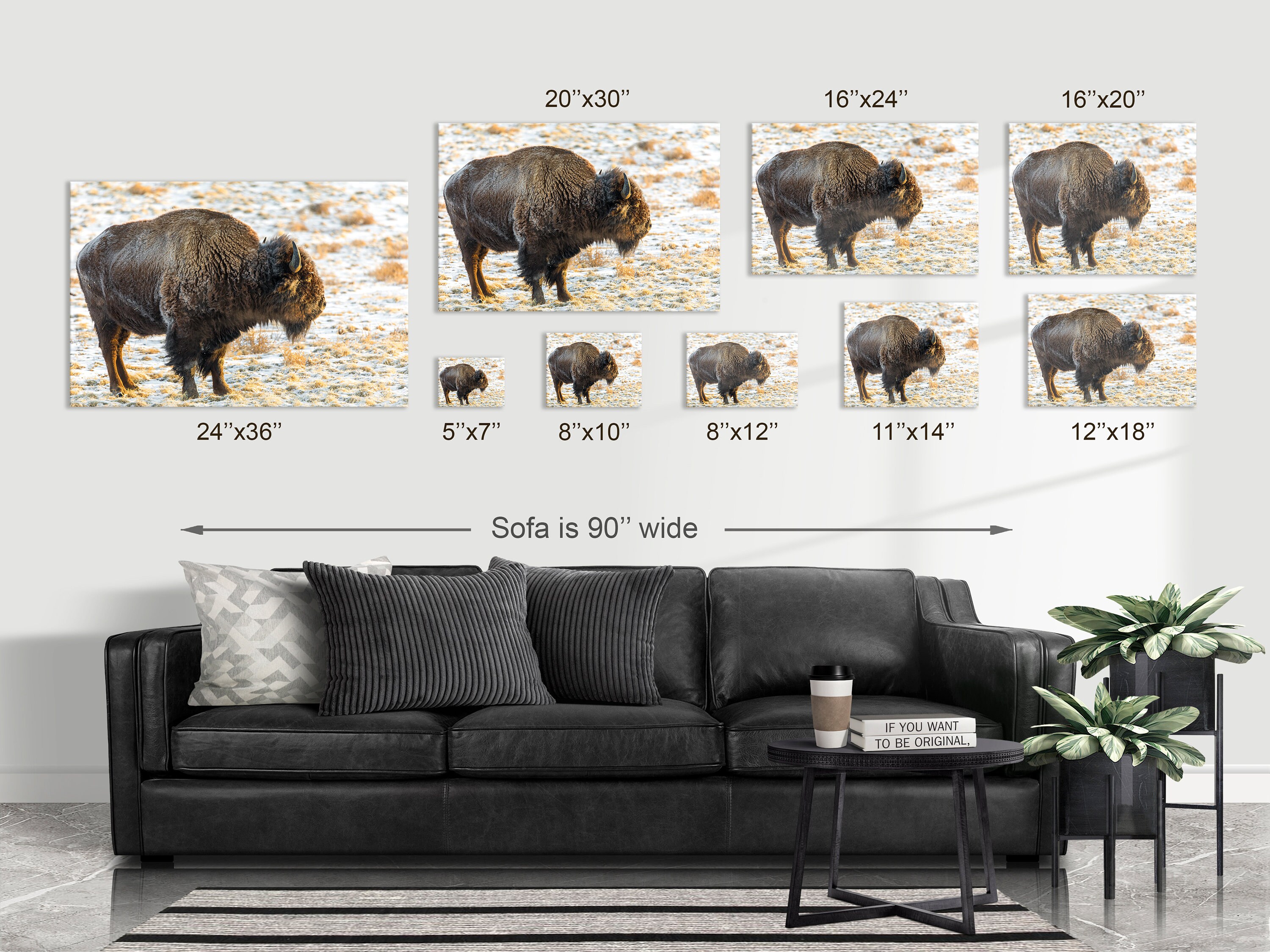 American Bison Photo Print: Wild West Wildlife Wall Decor - Etsy