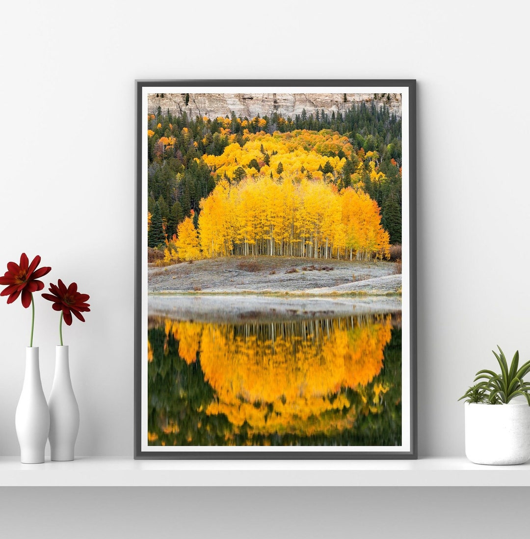 Aspen, Frost & Mist Wall Hanging, Fall Reflection, Colorado Fall ...
