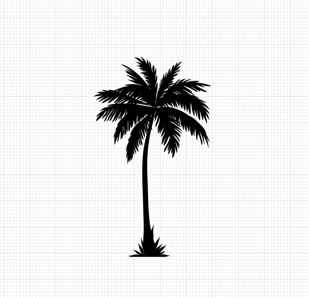 Palm Tree PNG - Digital Download - Etsy