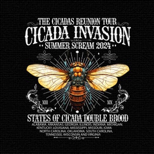 The Cicadas Reunion Tour PNG, Cicadas Invasion Summer Scream 2024 ...