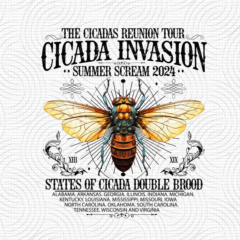 The Cicadas Reunion Tour PNG, Cicadas Invasion Summer Scream 2024 ...