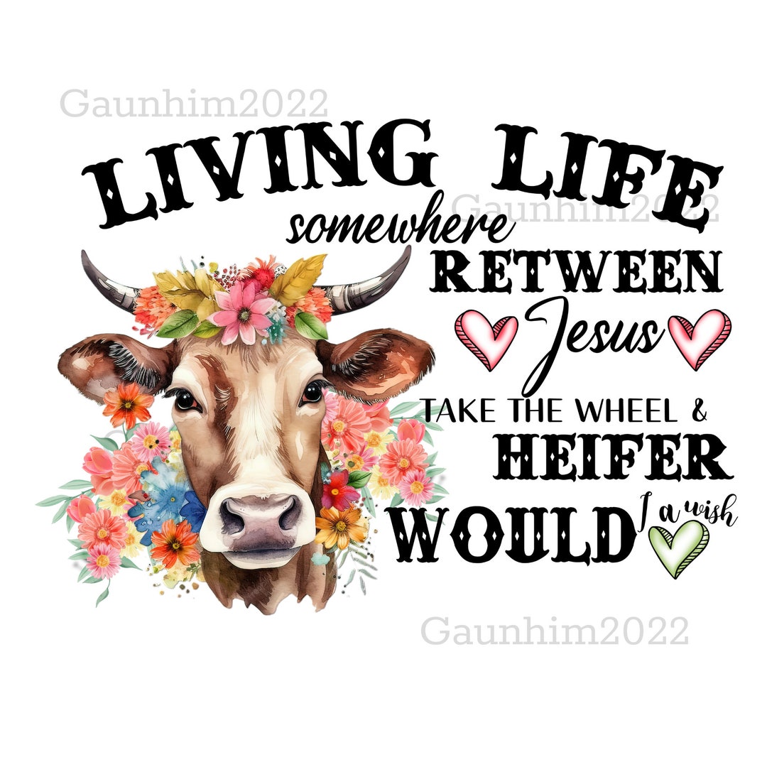 Living Life Somewhere Between Jesus Take the Wheel and I Wish a Heifer ...