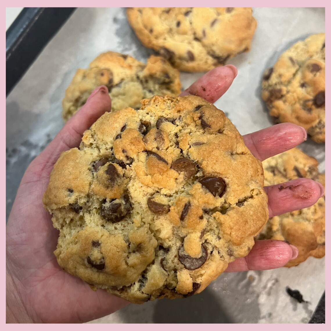 NY Style Chocolate Chip Cookie Recipe Gourmet Big Cookie Lavin Bakery ...