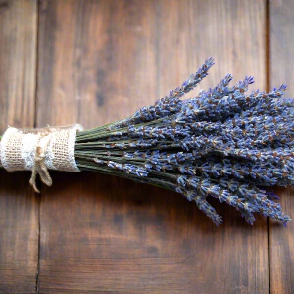 Lavender Bundles - Etsy