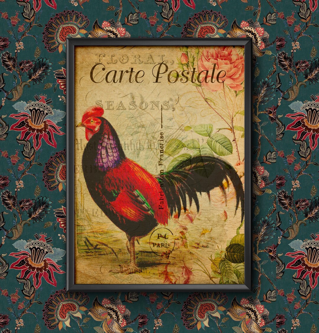 Vintage French Rooster Carte Postale Wall Art Poster A4 and A3 Size ...