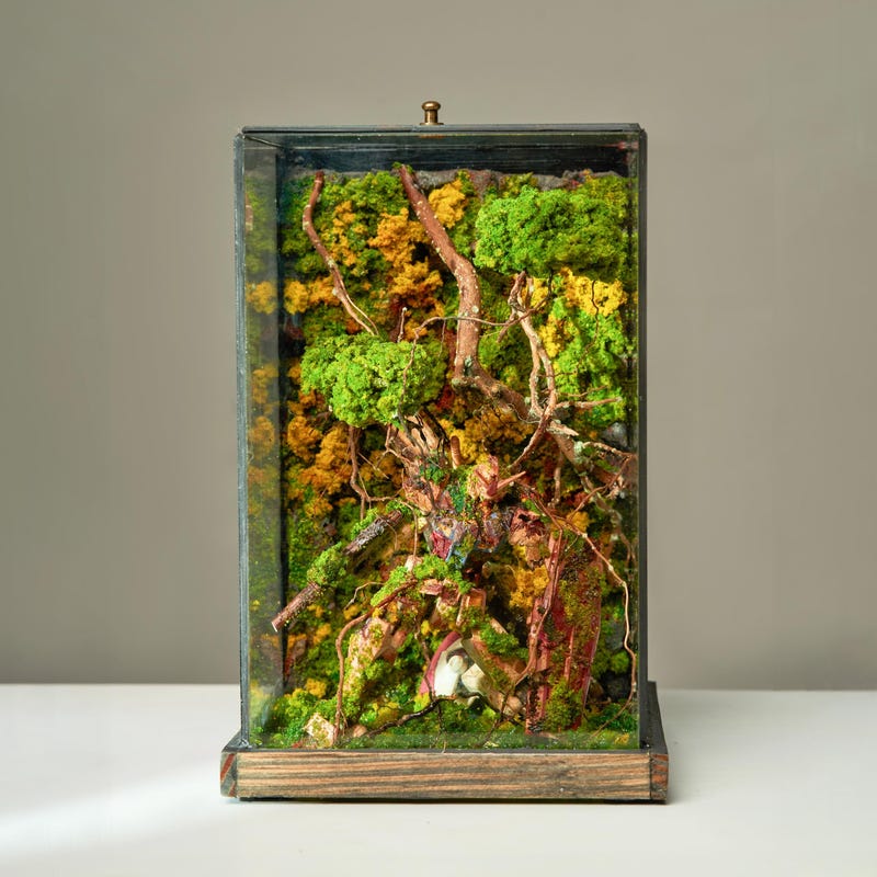 QuanBonsaiArt - Etsy