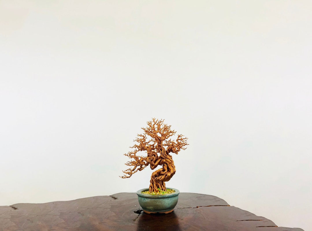 Copper Wire Bonsai, Wire Tree Sculpture, Bonsai Tree Art, Tree of Life ...