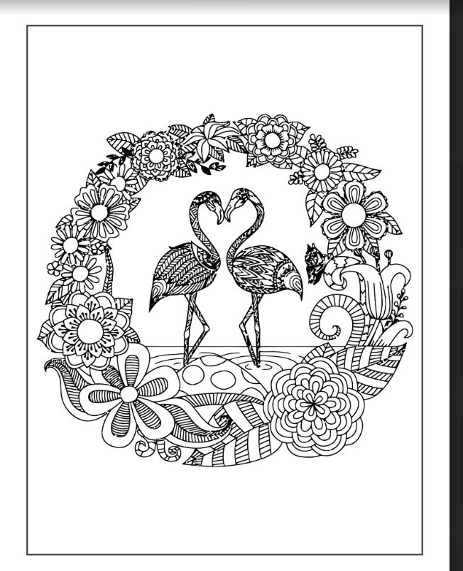 Kids Coloring Book | Digital Flamingo Coloring Printable, Childrens ...