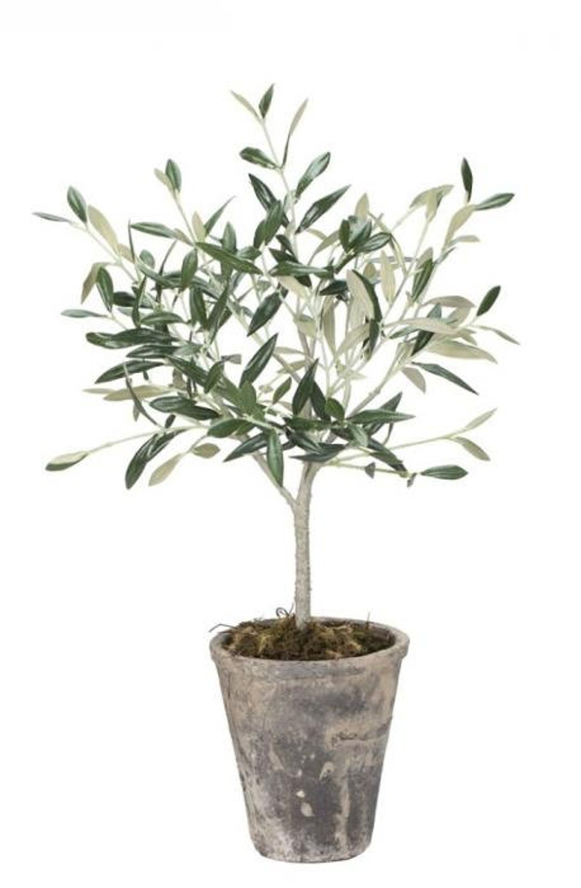 Small Realistic Artificial Olive Tree in Pot 44 Cm Mediterranean Home ...