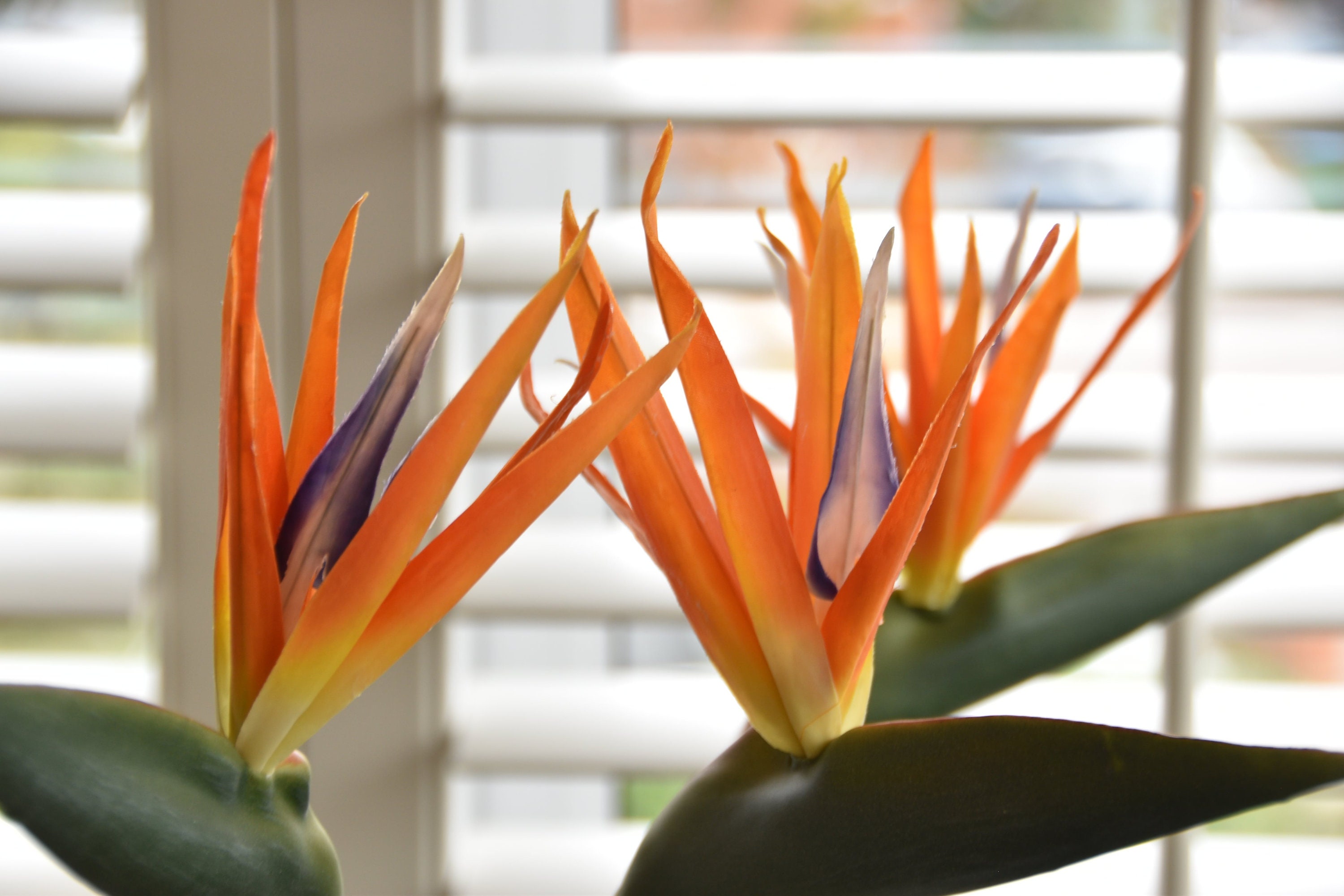 Elegant Faux Bird of Paradise Flower Stem Lifelike - Etsy