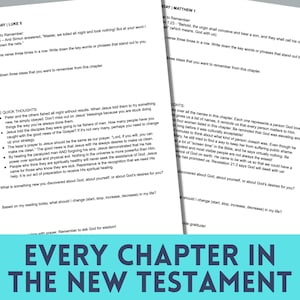 Study the Entire New Testament One Chapter at A Time | Every Day Use ...