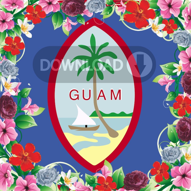 High Resolution Guam Flag Png I Made Graphic Design Chamorro Usa PNG ...