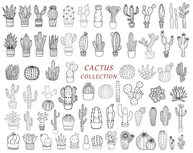 Cactus Collection SVG, Cactus SVG Bundle, Cactus Flower SVG File, Cacti ...