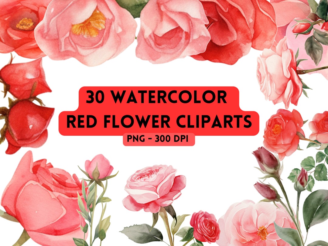 Vibrant Red Watercolor Floral Clipart Set, 30 Flower Pngs, Instant ...