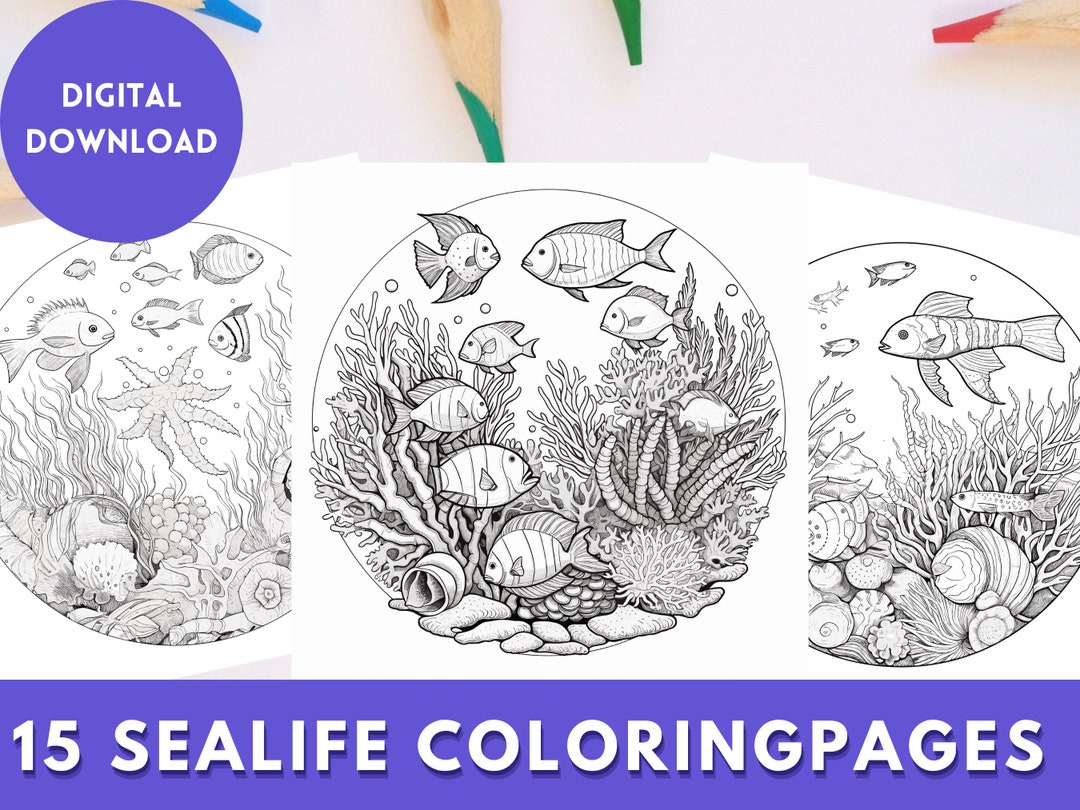 Sea Life Coloring Pages, Cute Underwater Coloring Scenes, Dolphin and ...