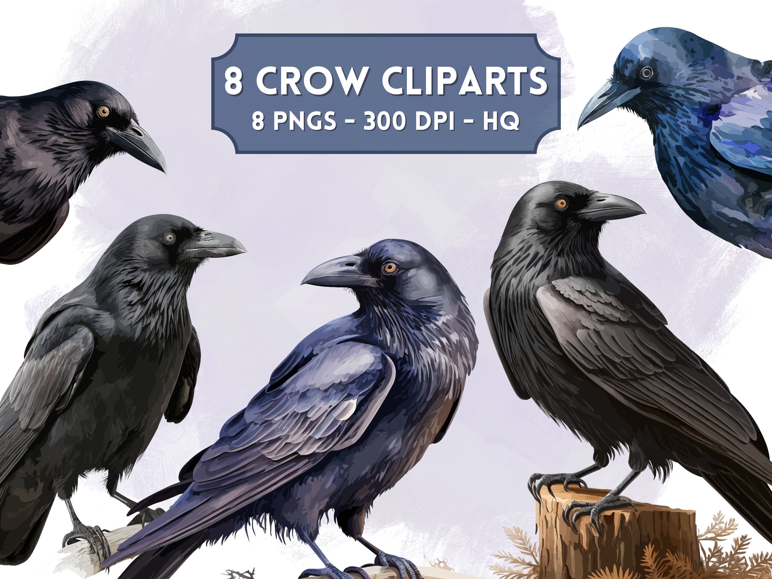Cute Crow Clipart