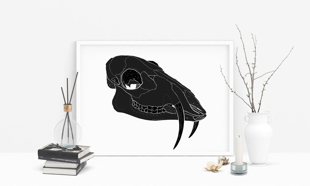 Musk Deer Skull Fangs Stylized Picture Graphic Bones Skeleton Print ...