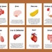 Human Organs Flash Educational Cards Printable PDF JPEG PNG Instant ...