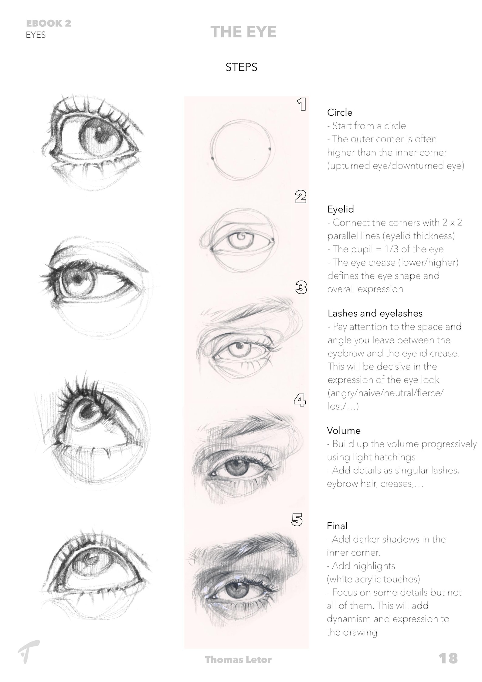 Advanced Constructive Portrait Drawing Tutorial by Artist Thomas Letor ...