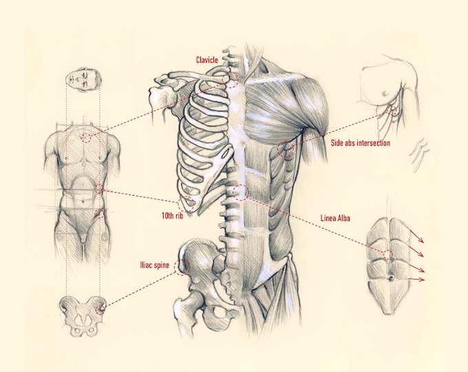 Portrait Drawing Tutorial How to Draw Faces Step by Step Drawing by ...