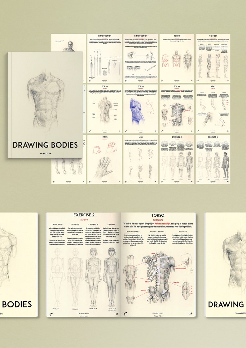 Advanced Constructive Figure Drawing Tutorial by Artist Thomas Letor ...