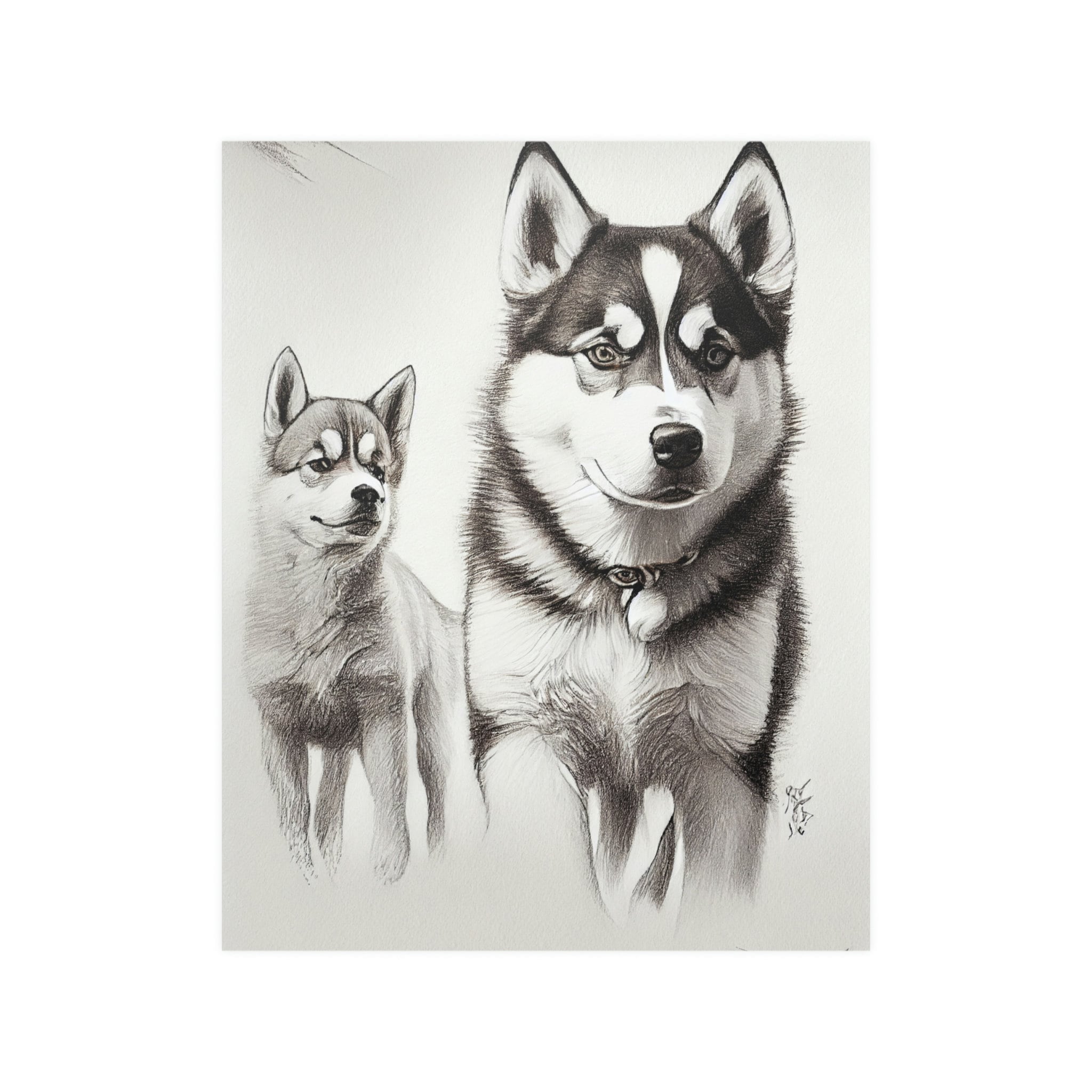 Husky Family Pencil Drawing 1 of 10 Original Art, Huskies, Wall Art ...