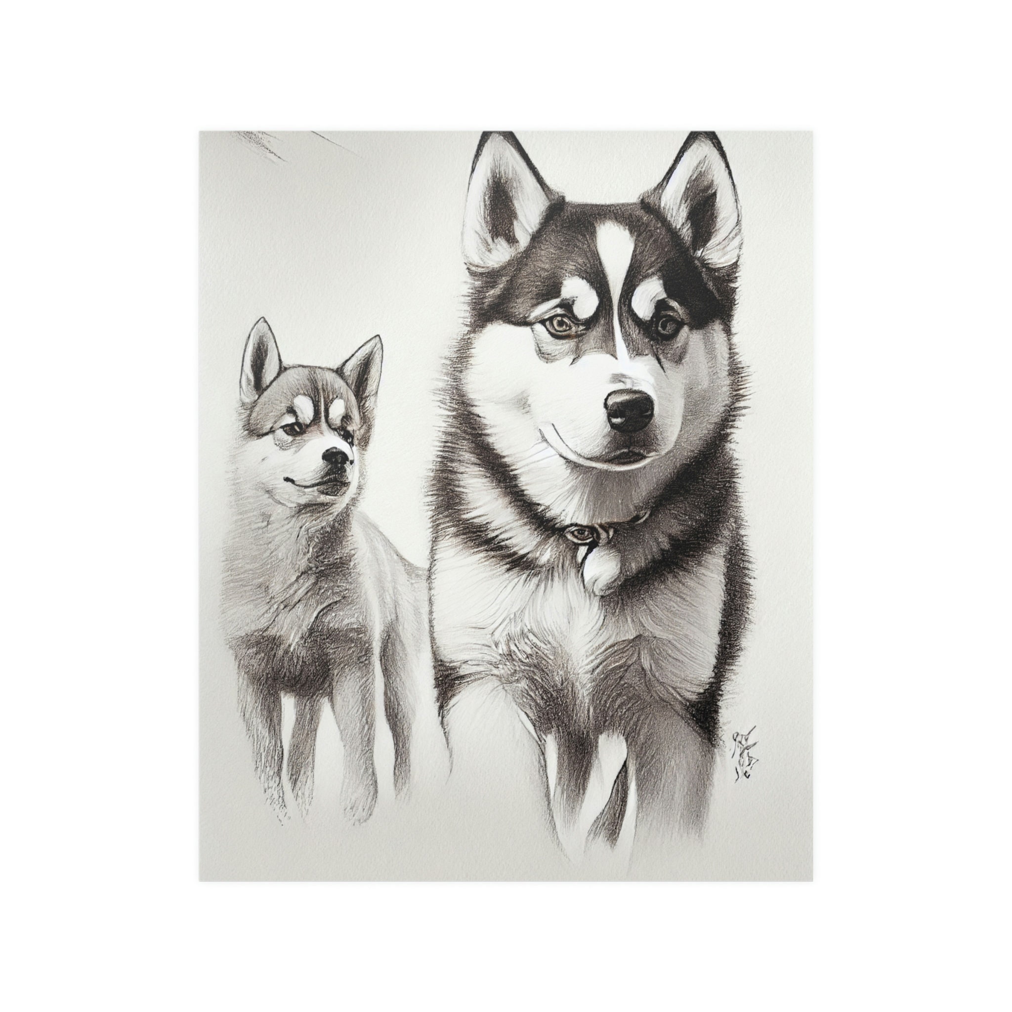 Husky Family Pencil Drawing 1 of 10 Original Art, Huskies, Wall Art ...