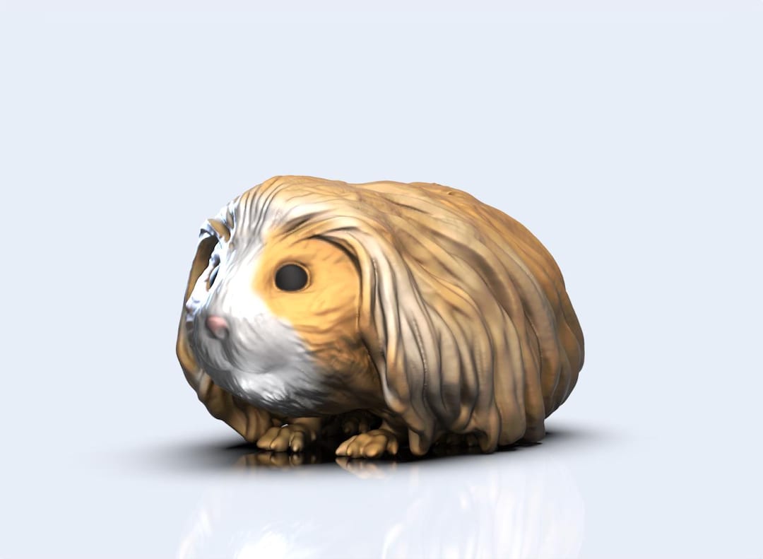 Personalized Guinea Pig Model for 3D Printing - Etsy