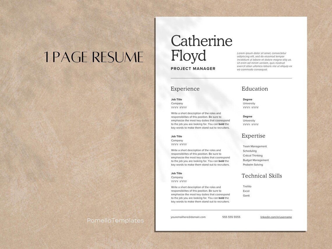 Resume Template Canva, Professional Resume Template, CV Professional ...